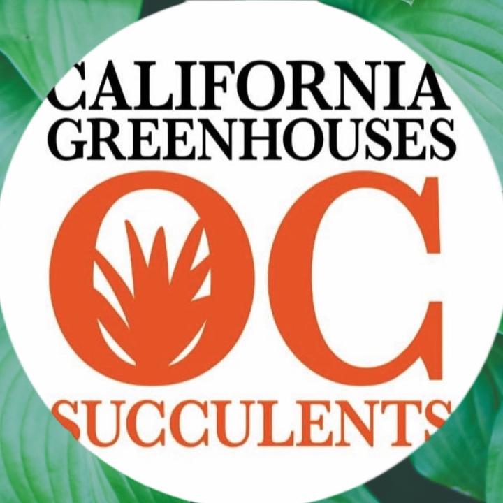 🦄 @oc_succulents - OC Succulents - TikTok