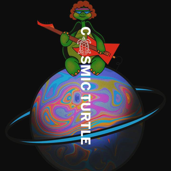 🦄 @cosmicturtleofficial - Cosmic Turtle - TikTok