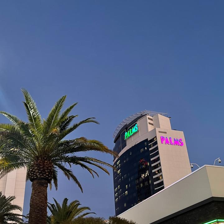 🦄 @zoeinvegas - Zoe | Las Vegas 🌴 - TikTok