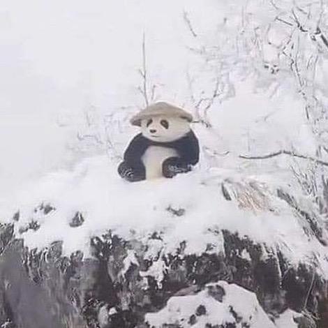 🦄 @gassypanda - Gassy Panda - TikTok